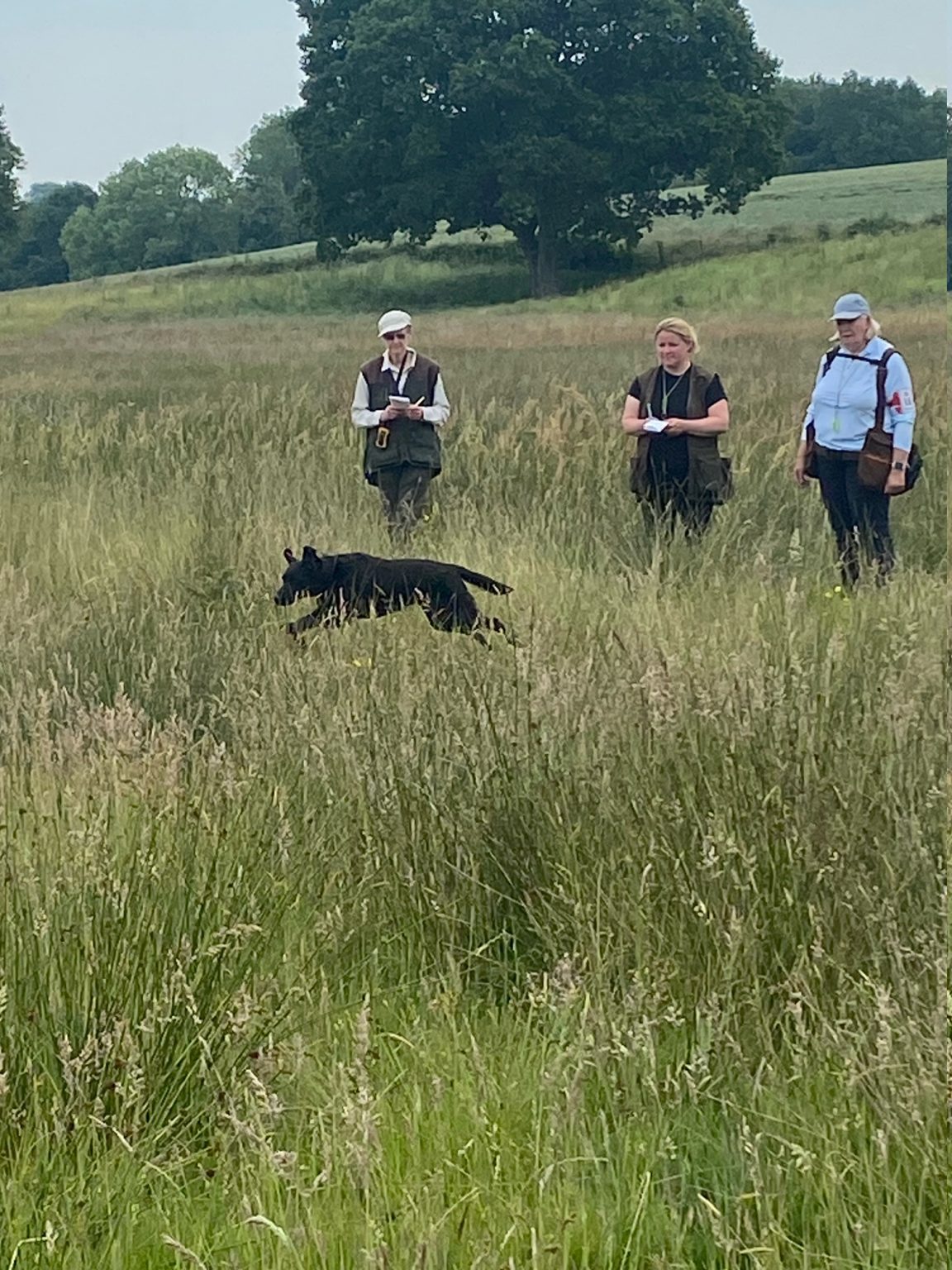 News – Vale and West Gundog Club